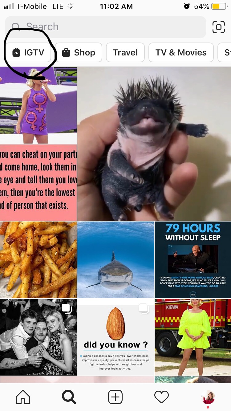 Everything You Need To Know About Instagram in 2020 - nb.marketing